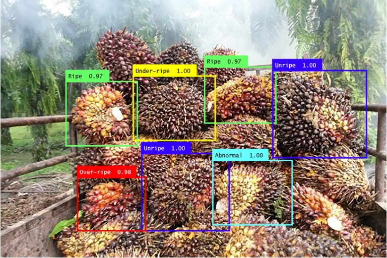 Automated FFB Grading for Maximized Palm Oil Extraction - Growth Pro Asia